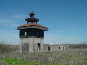Ghost Towns in North Texas? – DFW Urban Wildlife