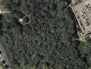 The Amazing UTSWMC Rookery – DFW Urban Wildlife