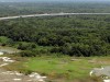 What is the Great Trinity Forest? – DFW Urban Wildlife