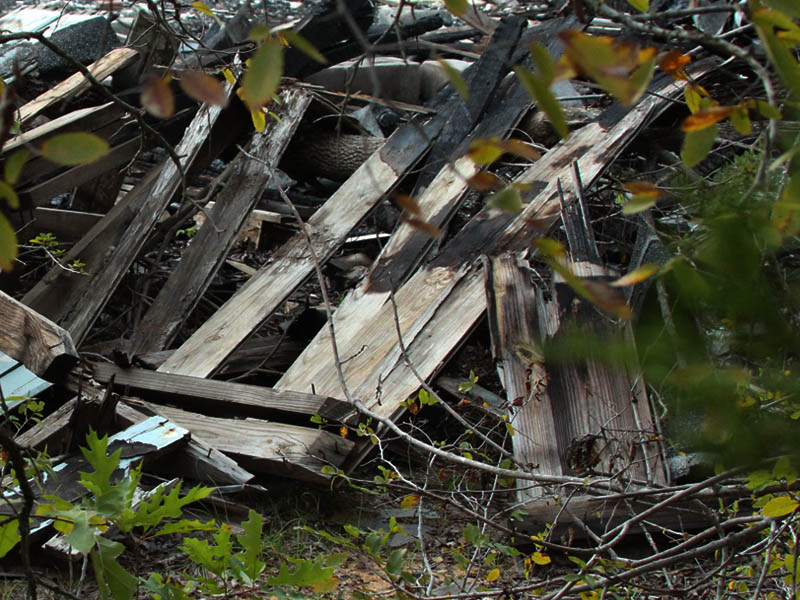 The Legend of Goatman’s Bridge – DFW Urban Wildlife