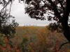 Great Trinity Forest Overlooks in Dallas, Texas – DFW Urban Wildlife
