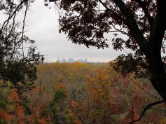 Great Trinity Forest Overlooks in Dallas, Texas – DFW Urban Wildlife