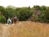 Great Trinity Forest Overlooks in Dallas, Texas – DFW Urban Wildlife