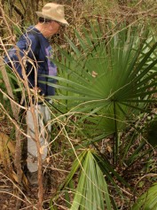 Great Trinity Forest Overlooks in Dallas, Texas – DFW Urban Wildlife