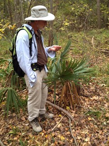 Great Trinity Forest Overlooks in Dallas, Texas – DFW Urban Wildlife