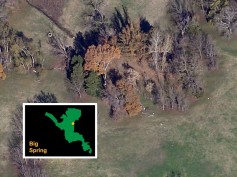 What is the Great Trinity Forest? – DFW Urban Wildlife