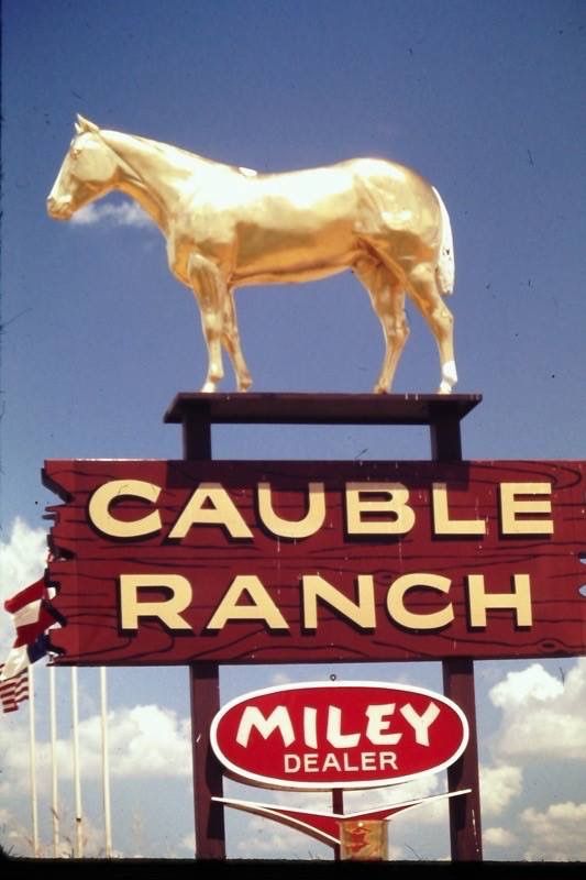 Cauble Enterprises – DFW Urban Wildlife