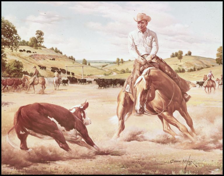 Cauble Enterprises – DFW Urban Wildlife