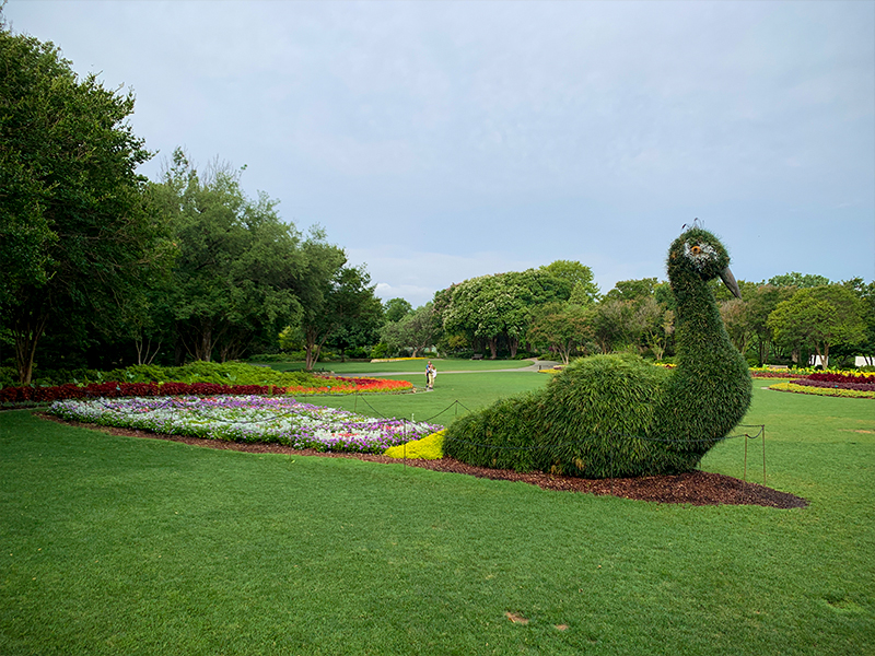 Summertime at the Dallas Arboretum – DFW Urban Wildlife