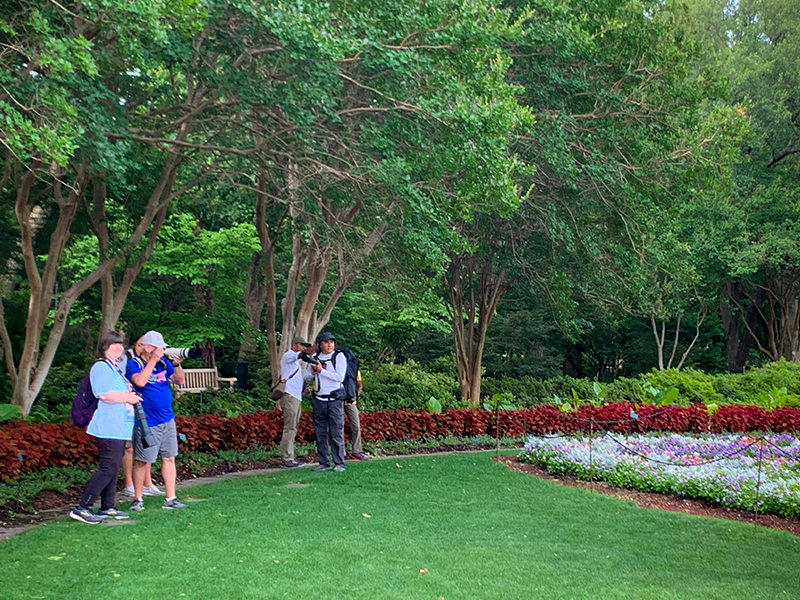 Summertime at the Dallas Arboretum – DFW Urban Wildlife