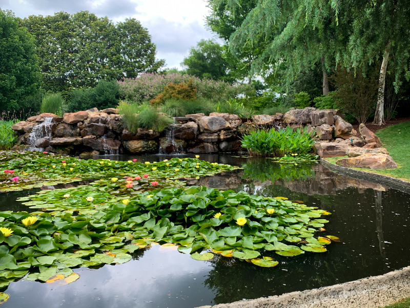 Summertime at the Dallas Arboretum – DFW Urban Wildlife