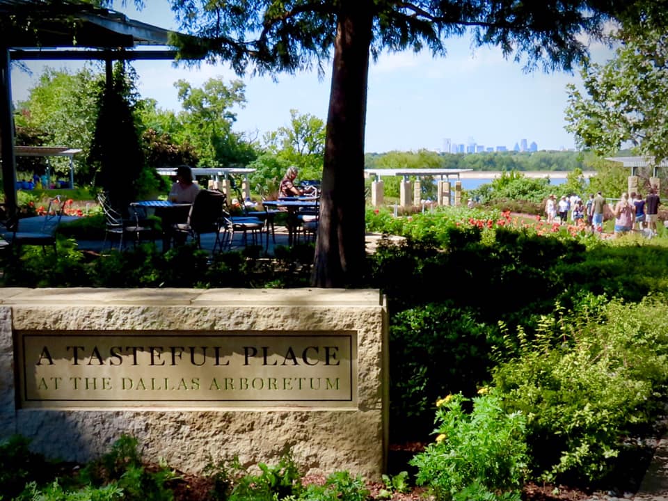 Summertime at the Dallas Arboretum – DFW Urban Wildlife