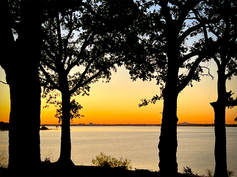 Murrell Park on Grapevine Lake – DFW Urban Wildlife