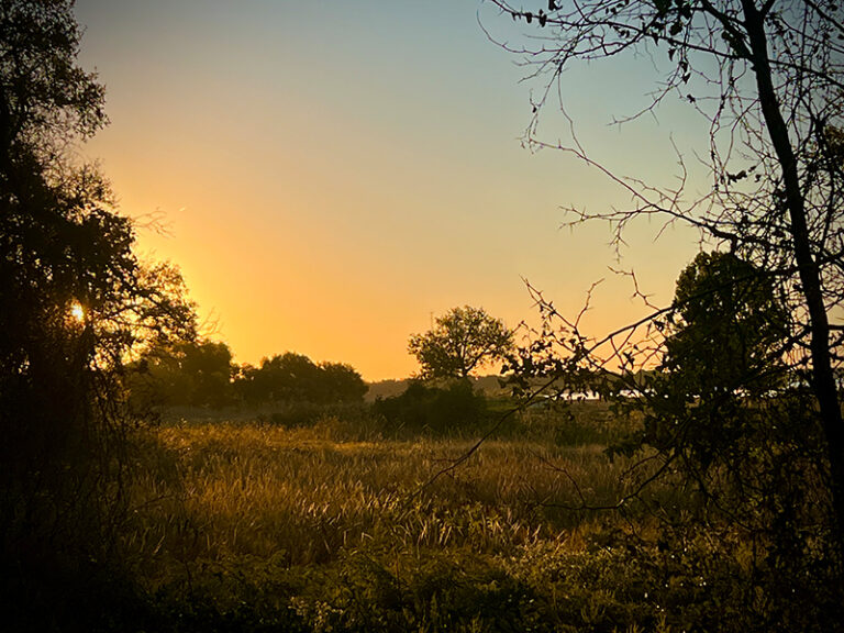 Murrell Park on Grapevine Lake – DFW Urban Wildlife