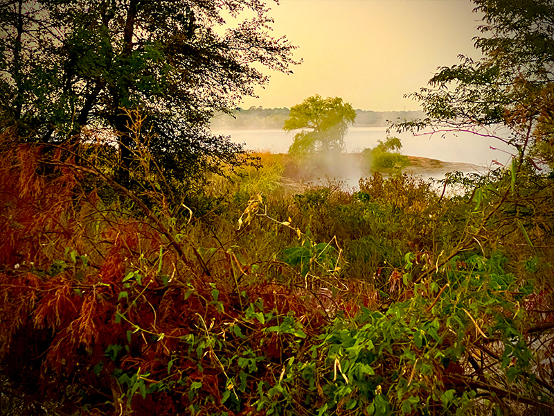 Murrell Park on Grapevine Lake – DFW Urban Wildlife