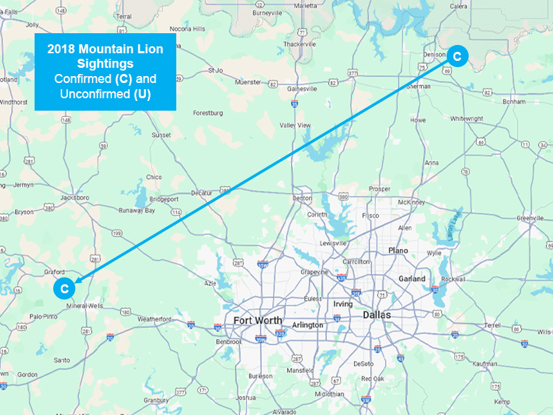 Dallas/Fort Worth Mountain Lion Tracker – DFW Urban Wildlife
