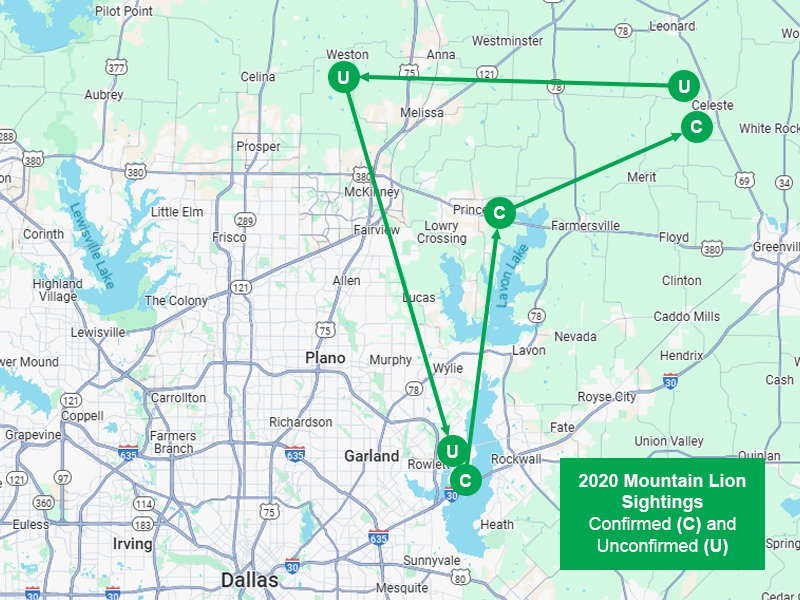Dallas/Fort Worth Mountain Lion Tracker – DFW Urban Wildlife