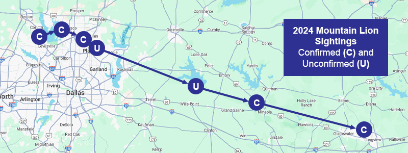 Dallas/Fort Worth Mountain Lion Tracker – DFW Urban Wildlife