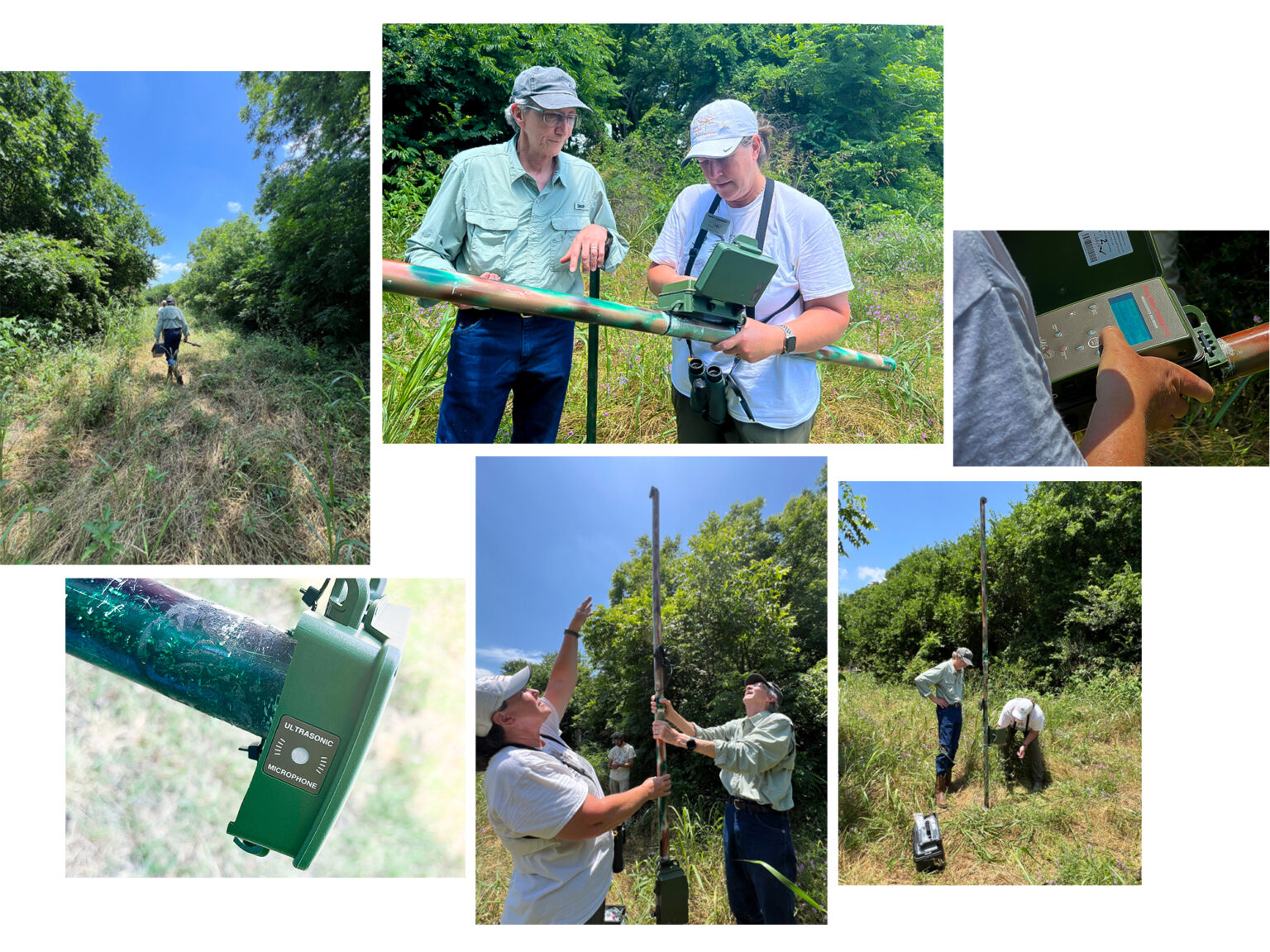 Listening to Bats – DFW Urban Wildlife